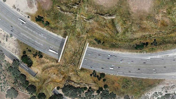 Earth Day groundbreaking for world's largest wildlife crossing ...
