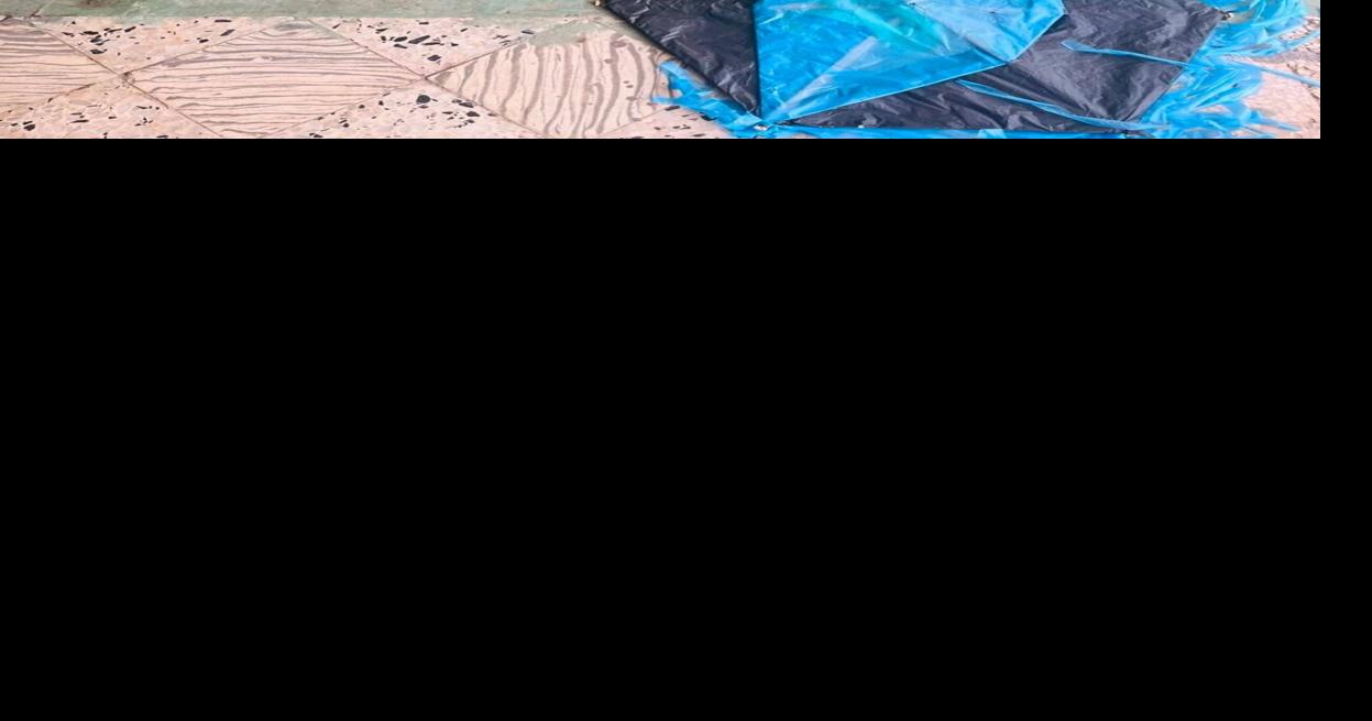 Kite festival in Gaza offers children rare break from ongoing war ...