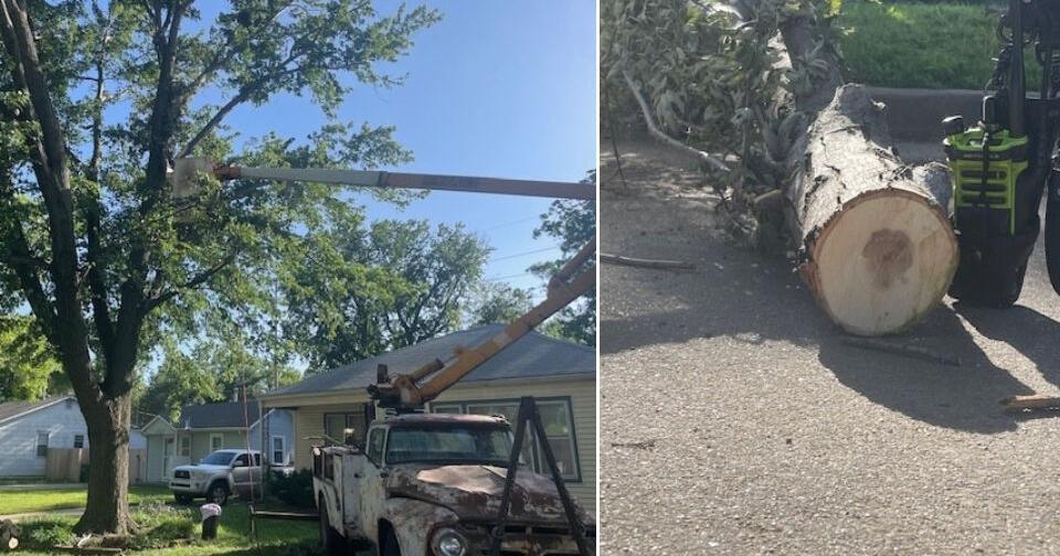 Falling tree limb injures firefighter, medic and patient during rescue ...