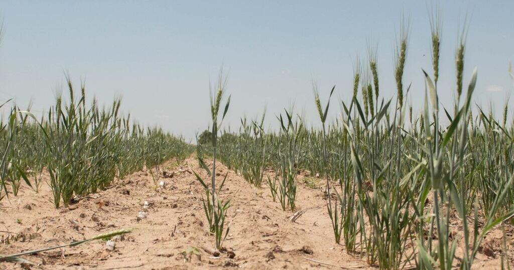 Moran: New U.S. Farm Bill must address drought worsened by changes in ...
