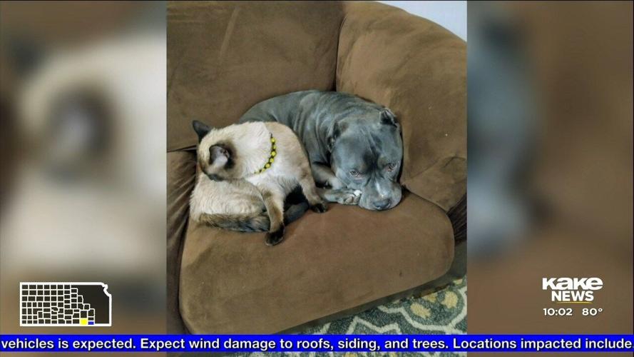 'No questions asked:' Local couple begs community for stolen service ...