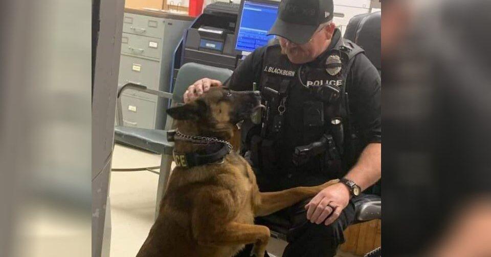 Kansas police department's first ever K-9 officer dies | | kake.com