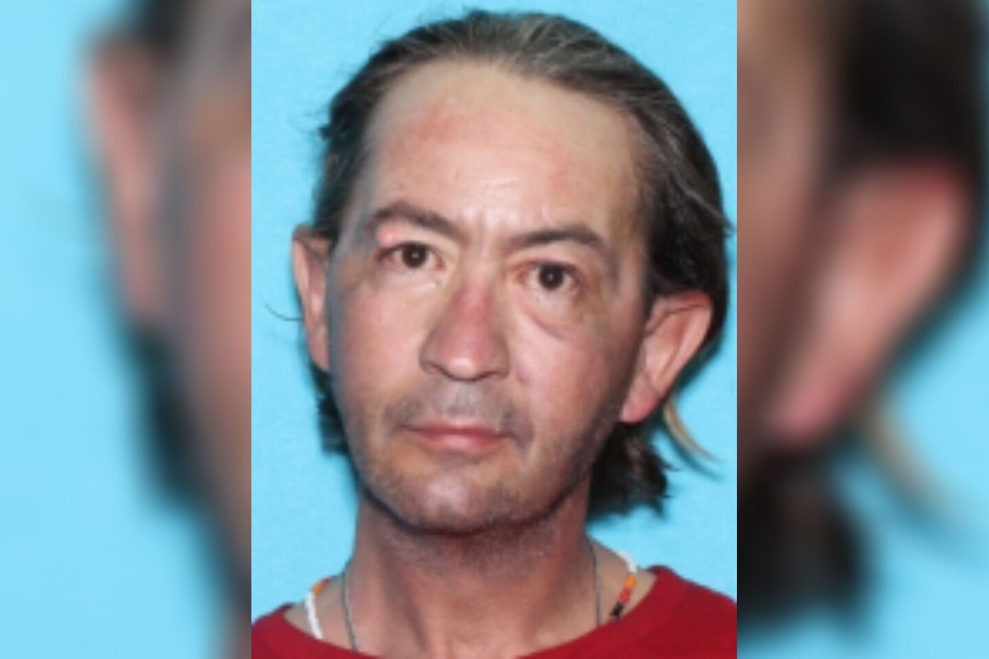 Skeletal remains found in Oaklawn identified as registered offender ...