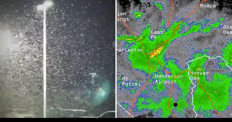Las Vegas' grasshopper invasion is so big you can see it on weather ...
