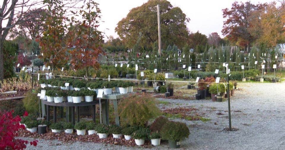 Wichita plant nursery explains how to protect plants ahead of ...