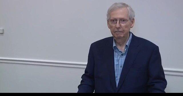 McConnell appears to freeze while speaking with reporters in Kentucky ...
