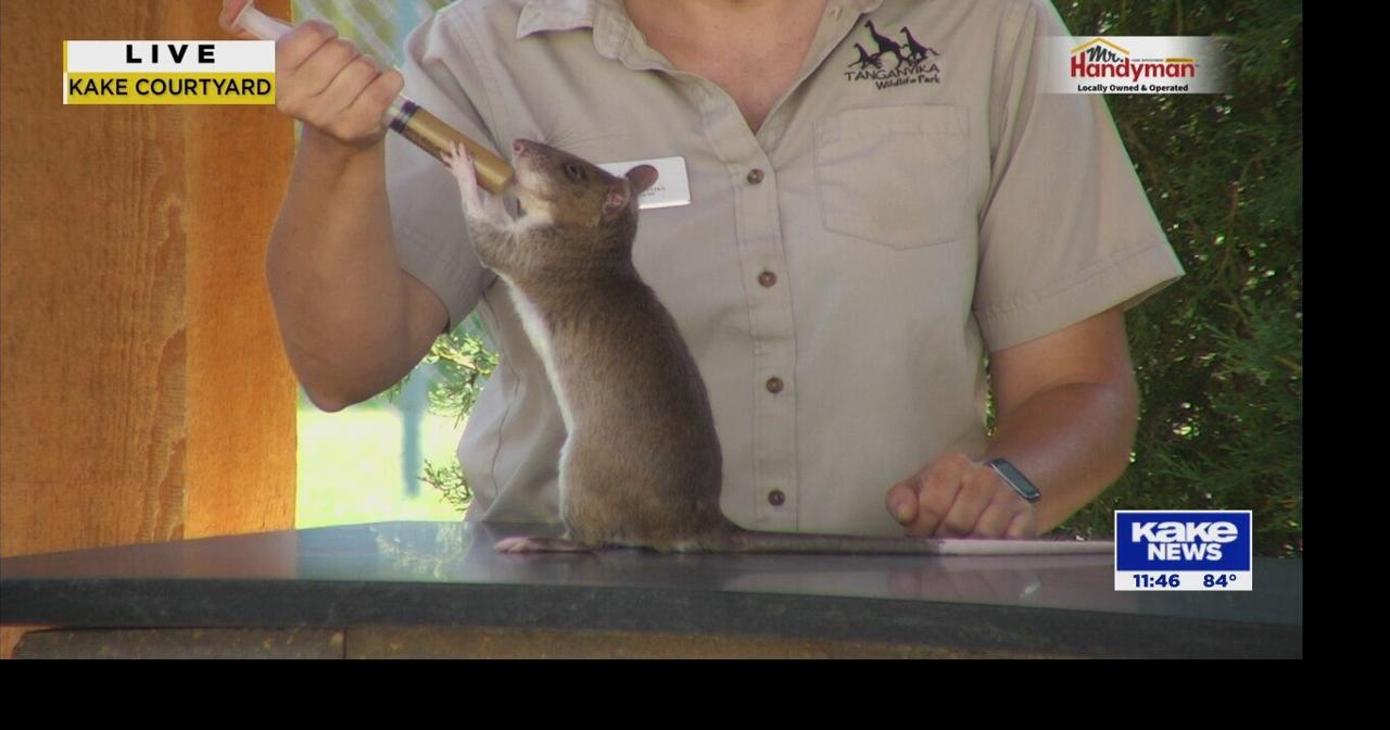 Tanganyika Wildlife Park | Video | kake.com
