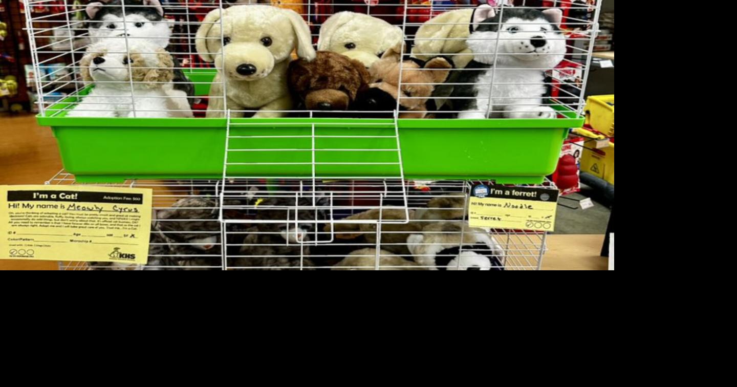 Not ready for a real pet? KHS introduces adoptable plush animals ahead ...