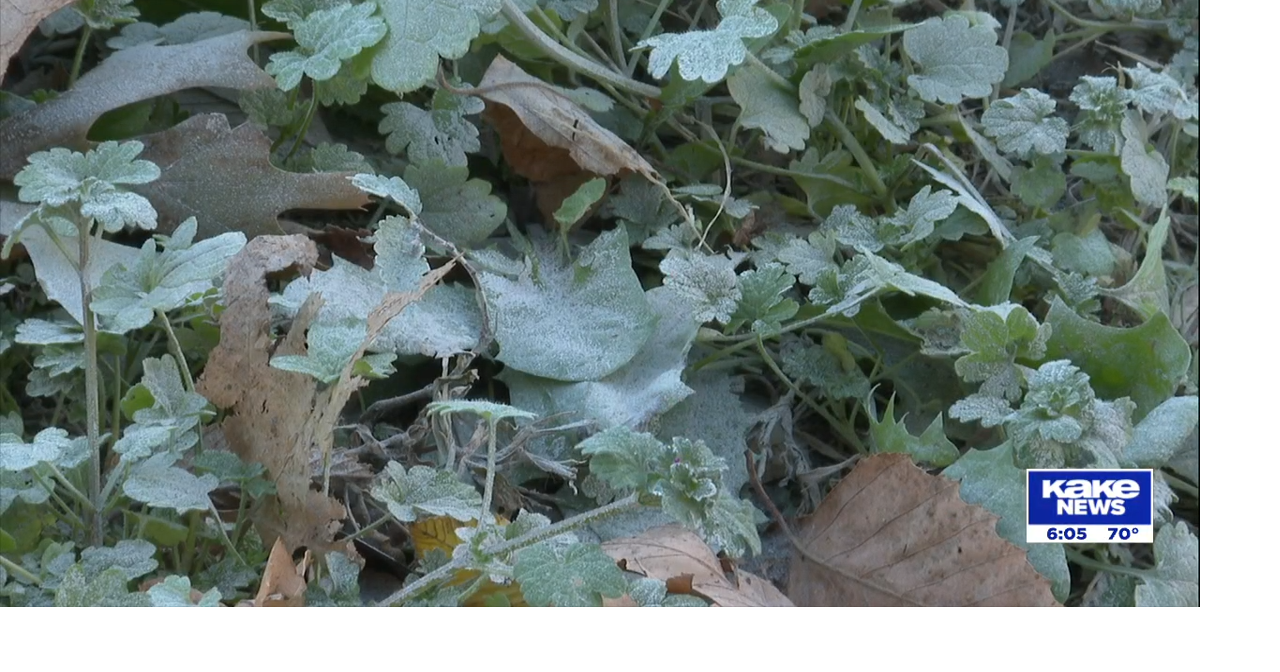 Construction company apologizes to Wichita neighborhood left covered in ...