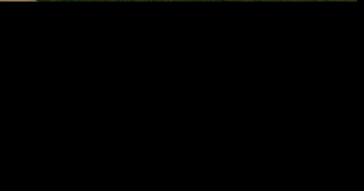 Kansas flags to fly at half-staff on December 7 for Pearl Harbor ...