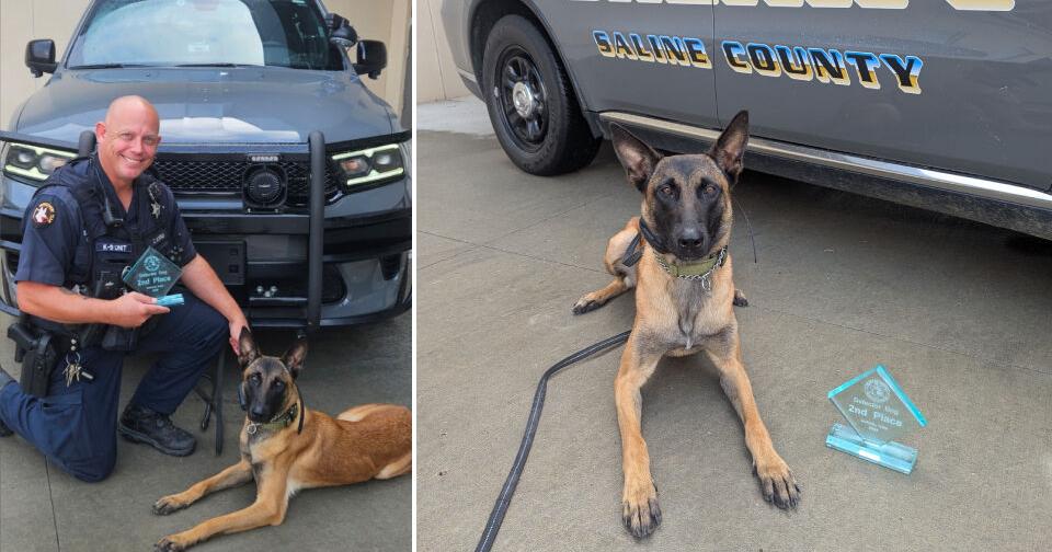 Kansas sheriff's office welcomes new K-9 deputy | Trusted News Source ...