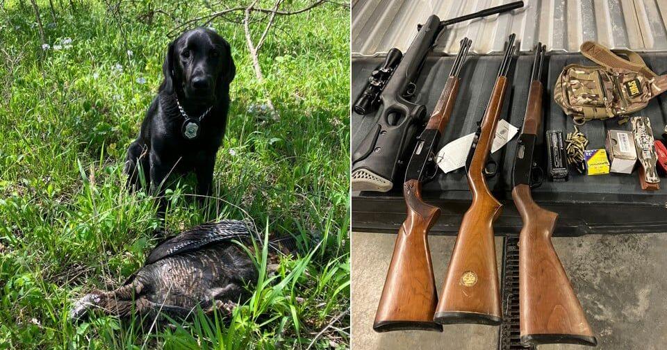 K-9 helps Kansas game warden, sheriff's office bust turkey poachers ...