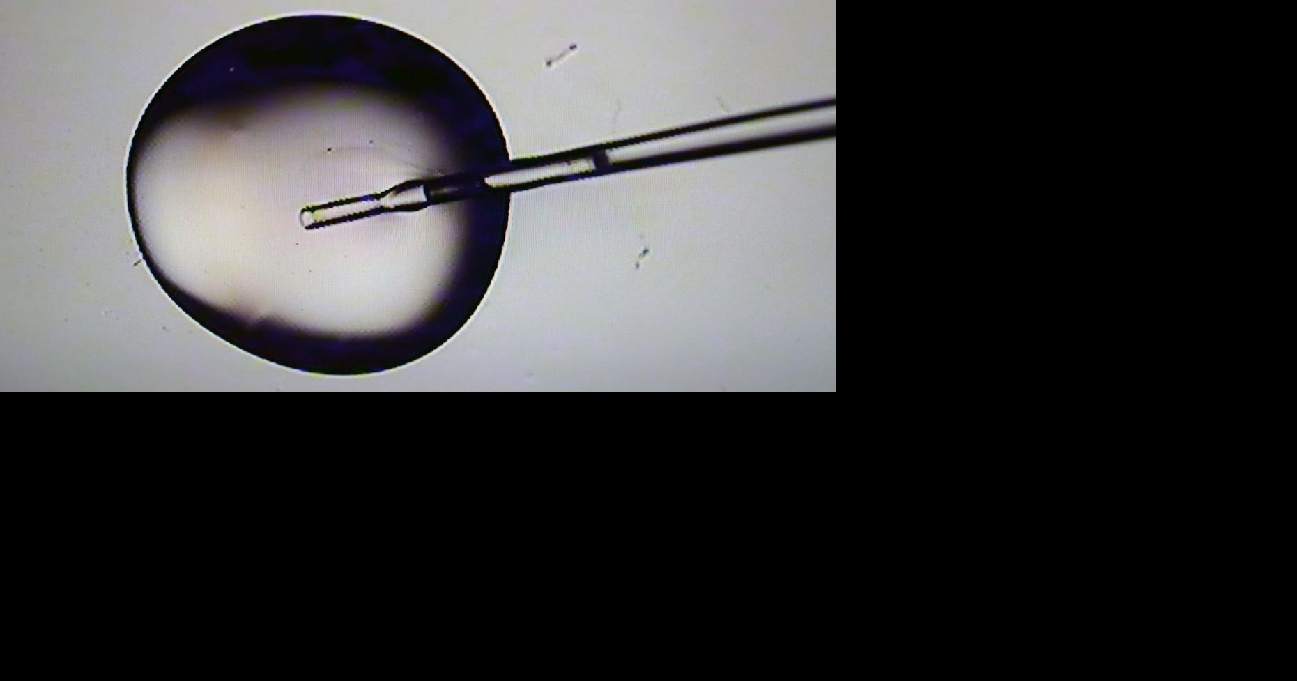 Trump promised no-cost IVF treatment for all. That’s still a long way ...