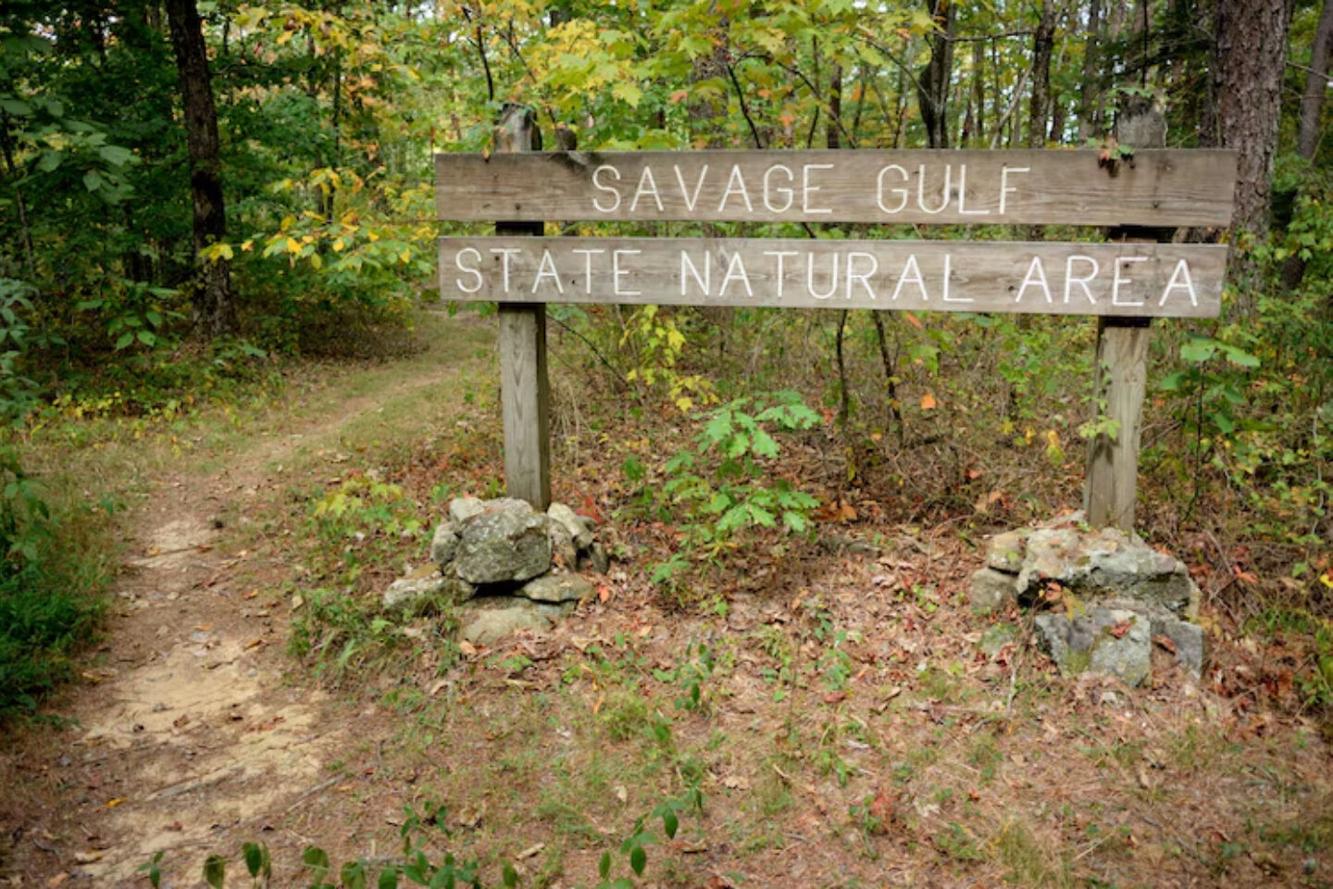 Hiker dies after being bitten by venomous snake, officials say | News ...