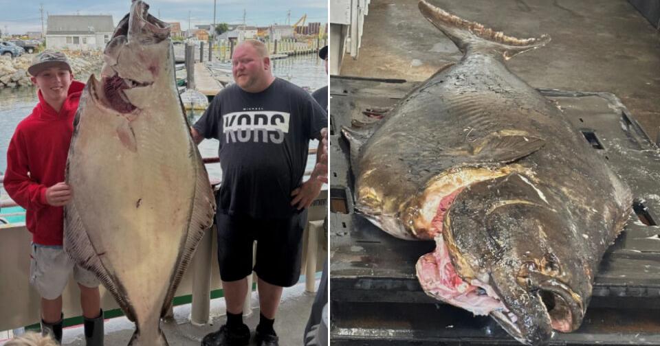 New Hampshire boy, 13, reels in 177-pound halibut while deep-sea ...
