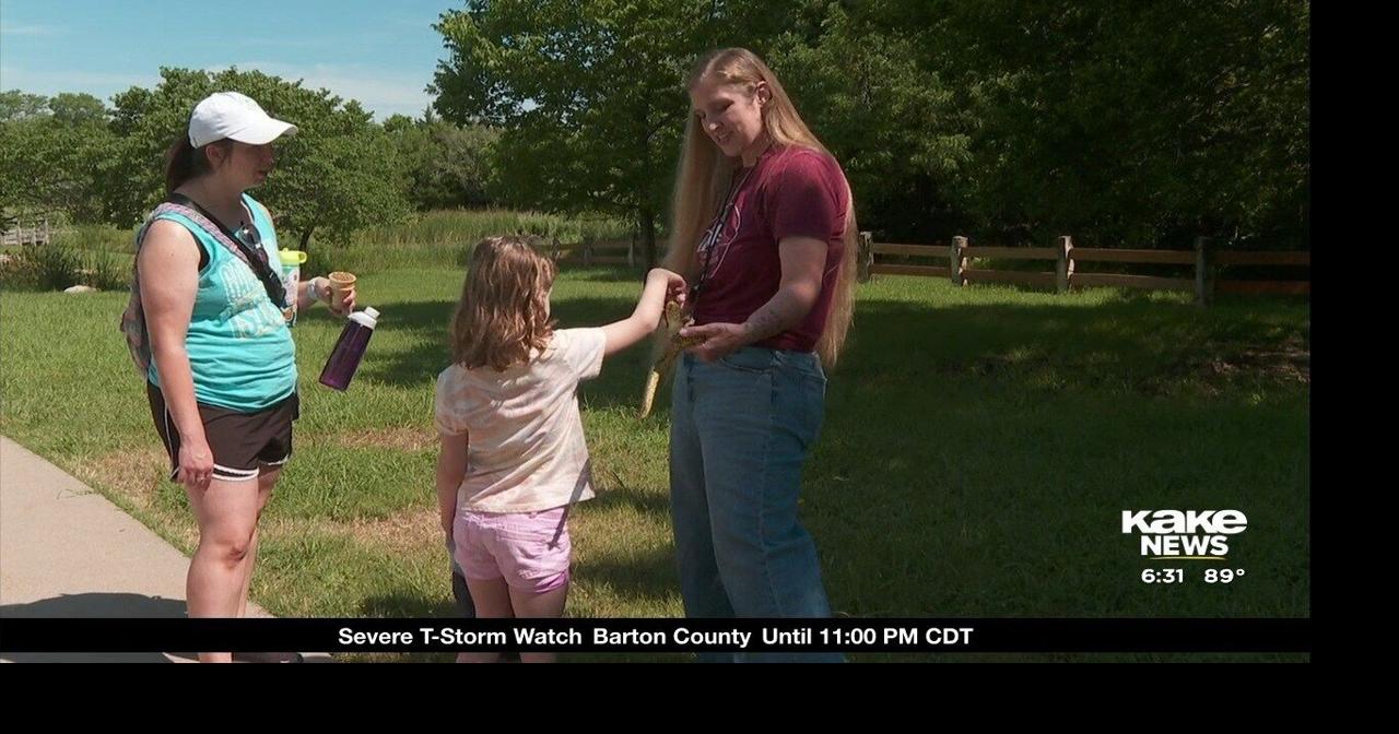 Sun's out, snakes out: Warmer weather brings slithery visitors to ...