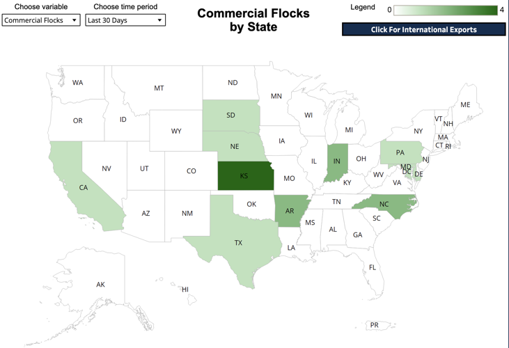 Kansas bird flu outbreak is worst in nation | Trusted News Source for ...