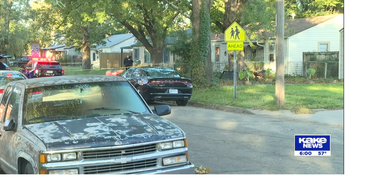 Former news anchor arrested in stabbing death of mother in south ...