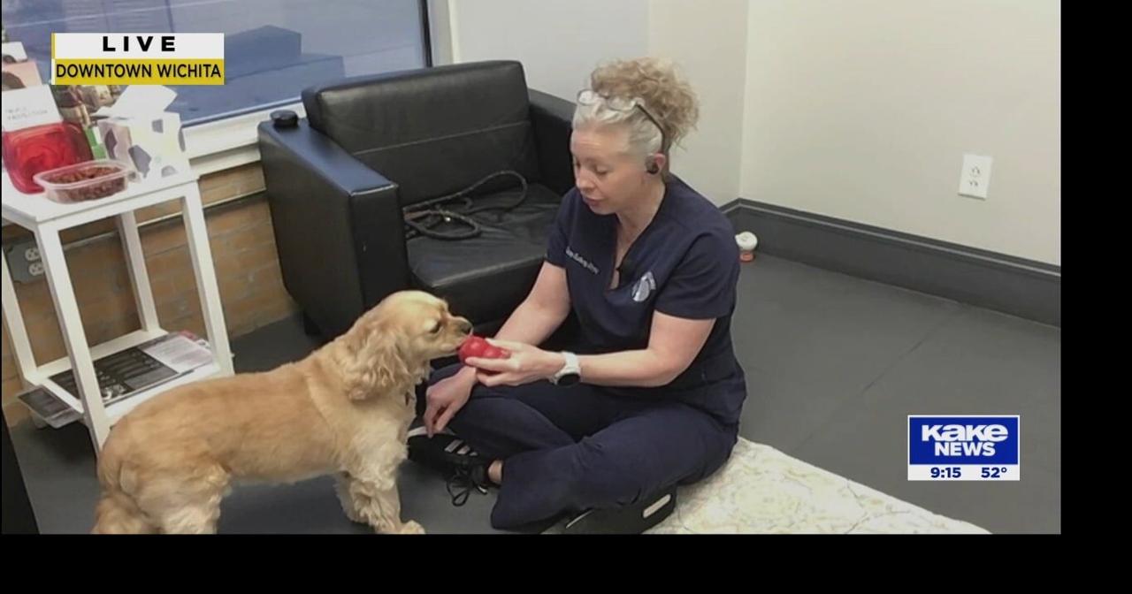 Wichita Pet Wellness | Video | kake.com