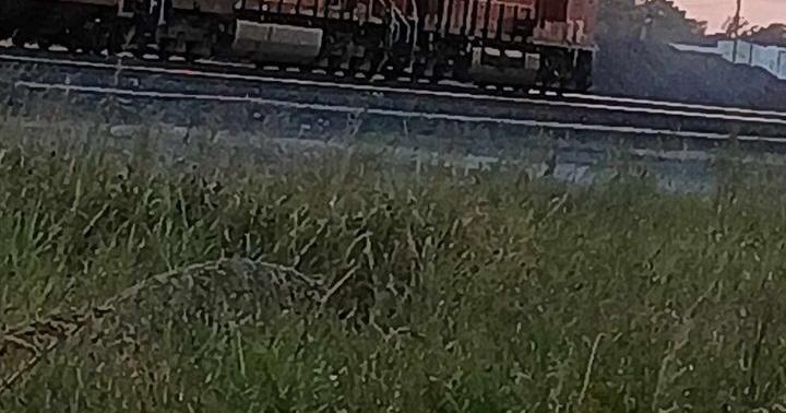 No injuries, investigation underway after train catches fire in Harper ...