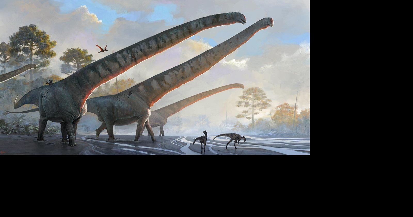 Meet the dinosaur that had a record-breaking neck longer than a school ...