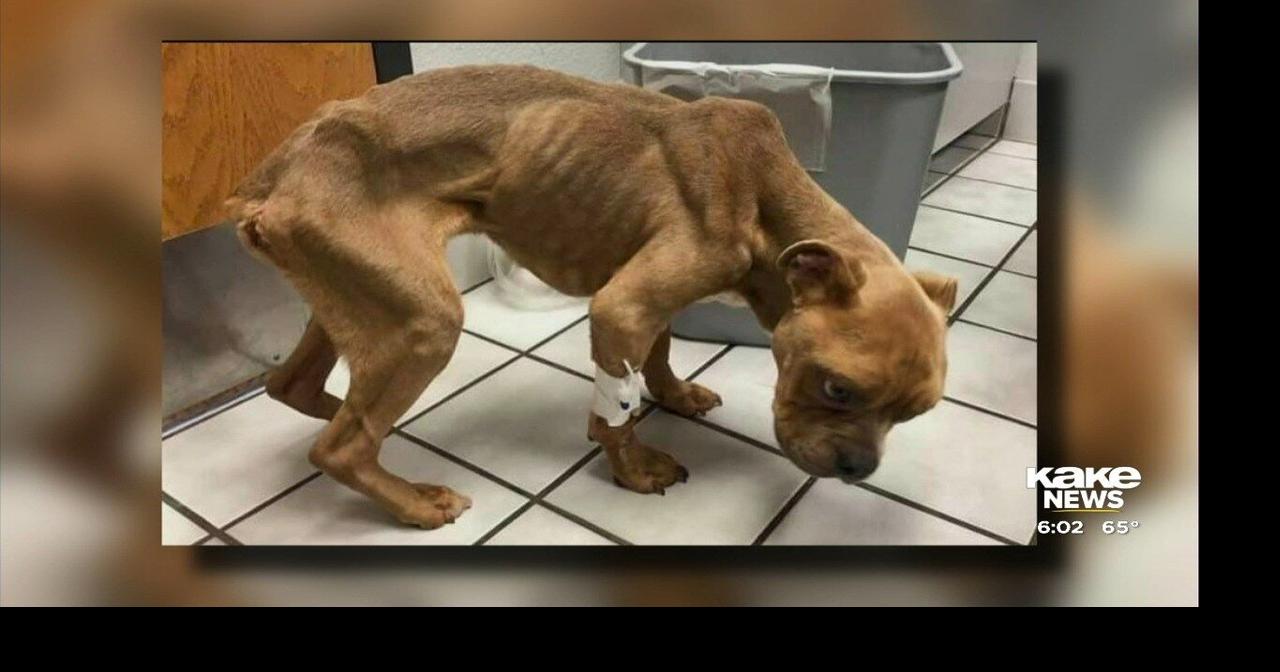 Lawmakers dismiss bill to increase penalty when someone maliciously ...