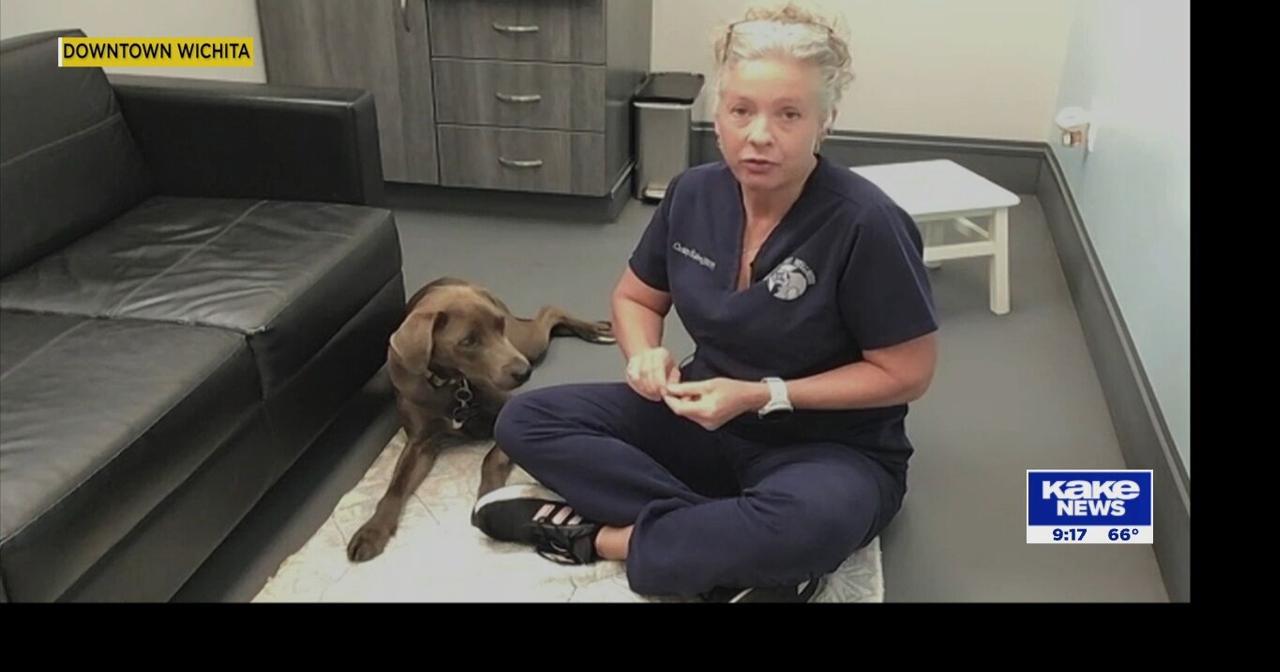 Christy Rafferty with Wichita Pet Wellness - October 1, 2025 | Video ...