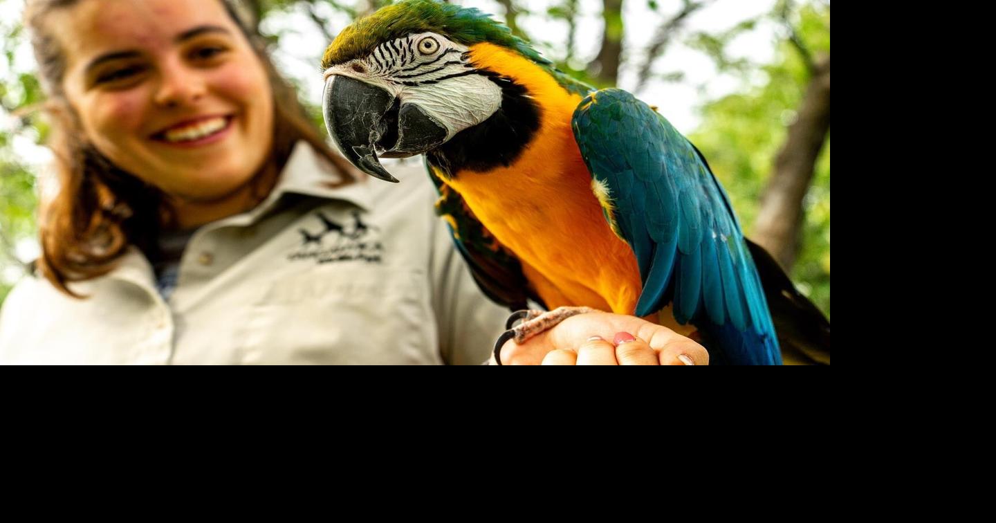 Tanganyika Wildlife Park named second best animal encounter in America ...