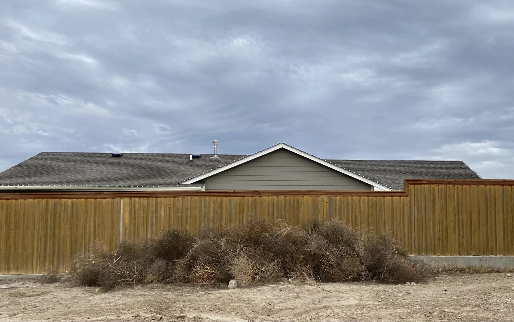 In Kansas, tumbleweeds are an icon of the Plains. They’re also an ...