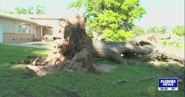 Days after record-breaking winds, storm damage cleanup continues in ...