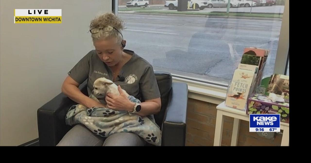 Wichita Pet Wellness | Video | kake.com