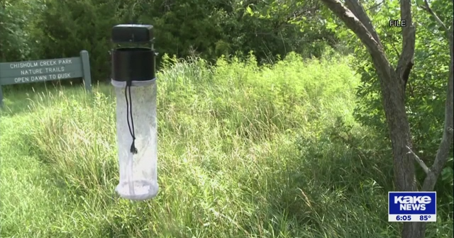 Mosquito and tick season returns to Wichita: What families need to know ...
