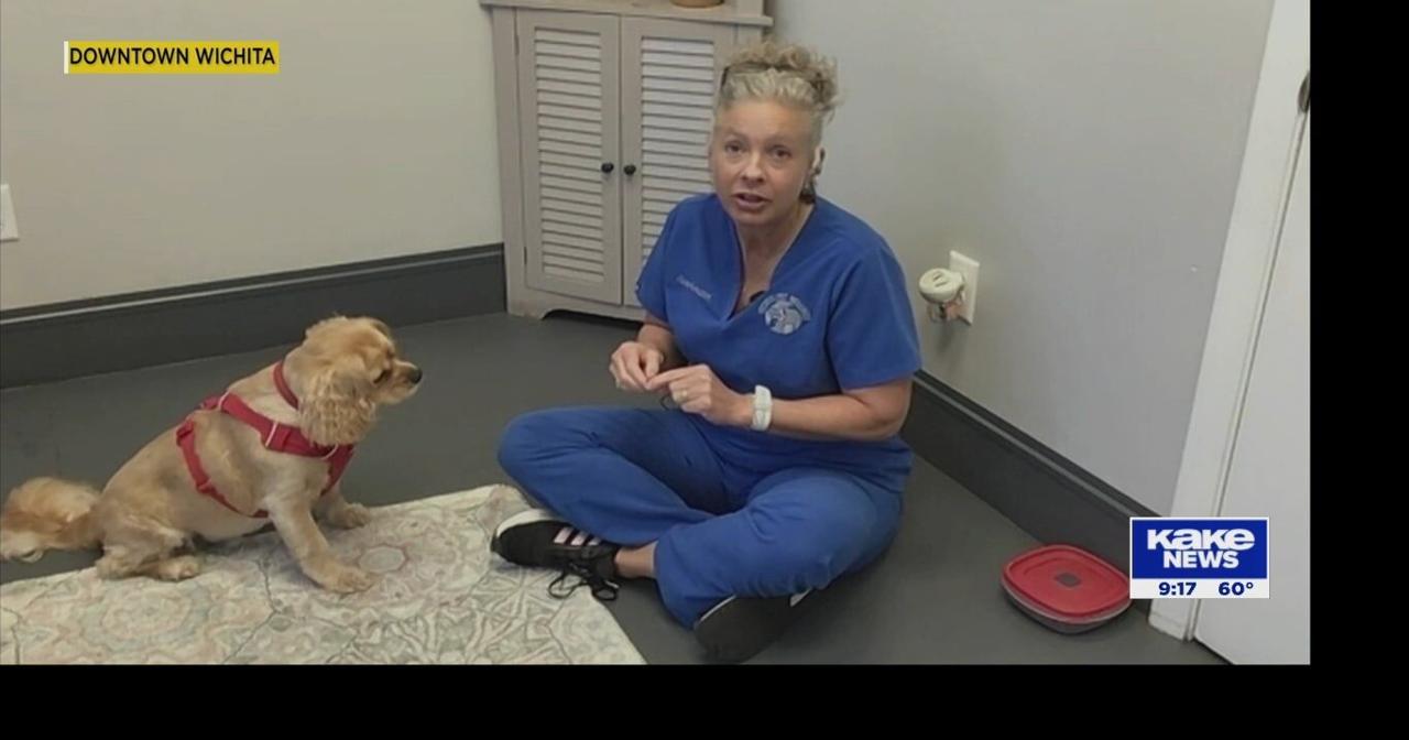 Wichita Pet Wellness | Video | kake.com
