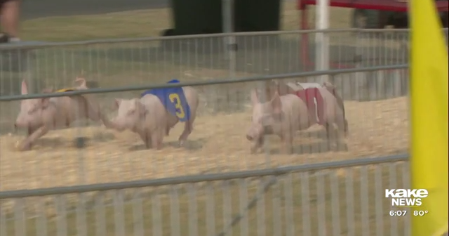 A look at what's new at the Kansas State Fair this year | Community ...
