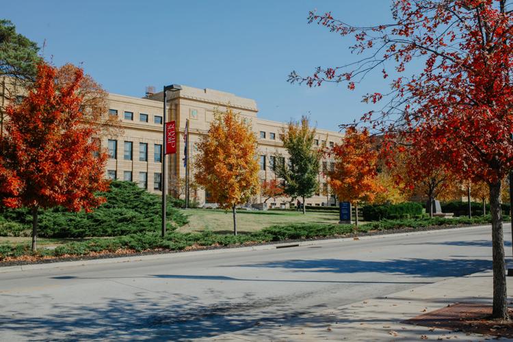 GALLERY: Fall leaves color campus for autumn | Gallery | kansan.com