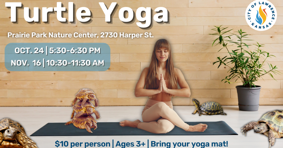 Beginner-friendly yoga class with turtles to rejuvenate the mind and body | Arts & Culture ...