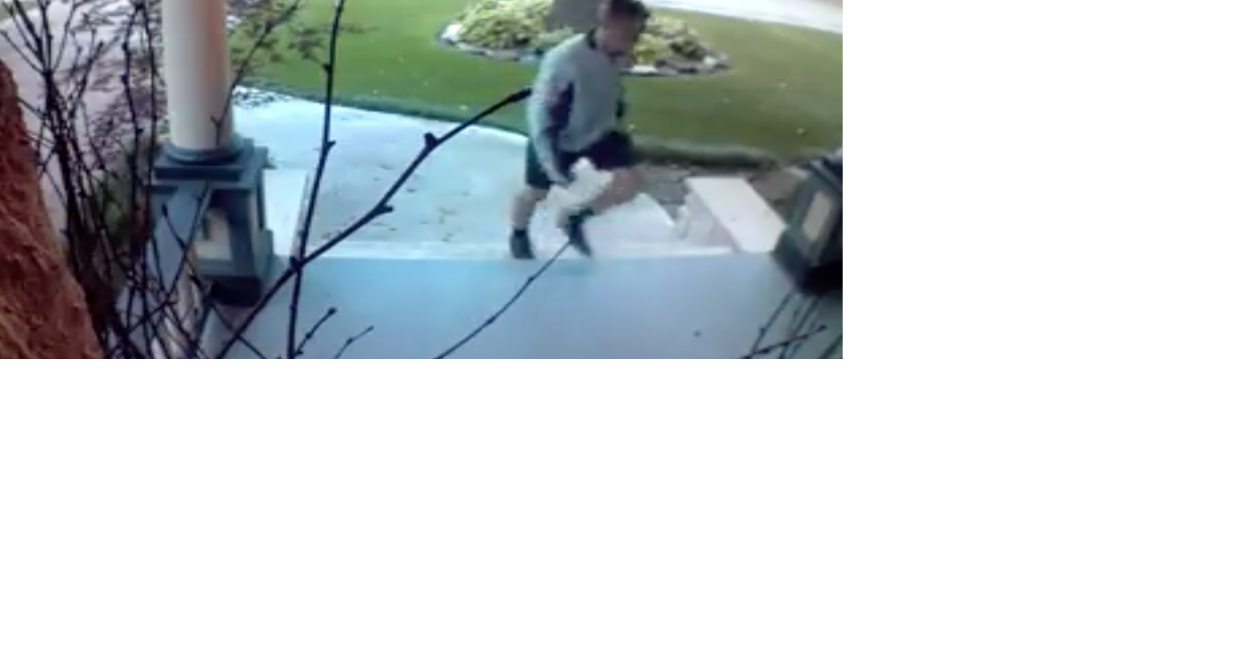 Fraternity apologizes after pumpkin vandal smashes Halloween spirit ...