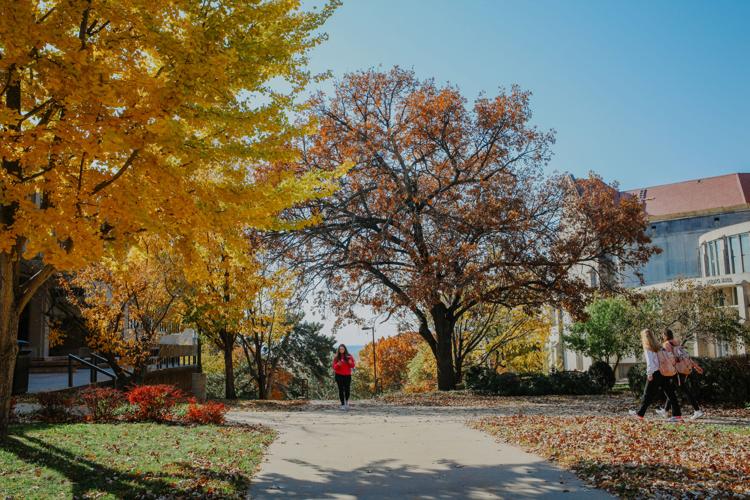 GALLERY: Fall leaves color campus for autumn | Gallery | kansan.com