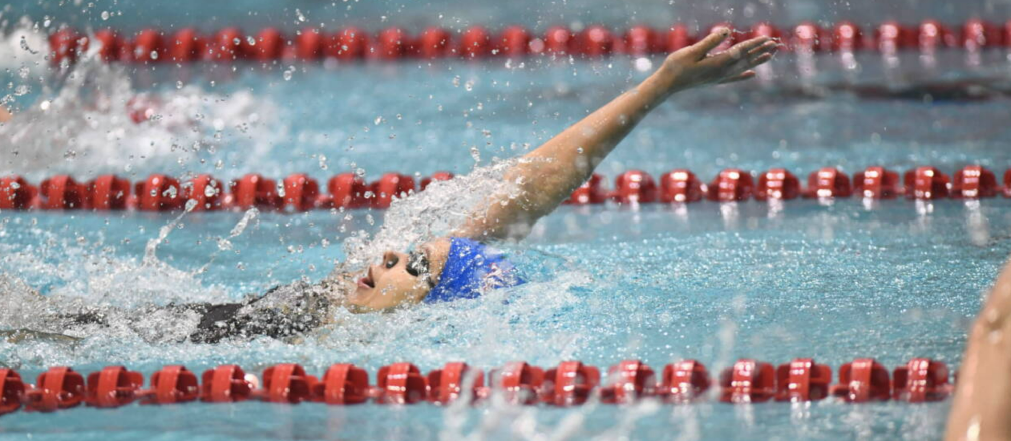 Lezli Sisung earns Big 12 Swimmer of the Week | Sports | kansan.com