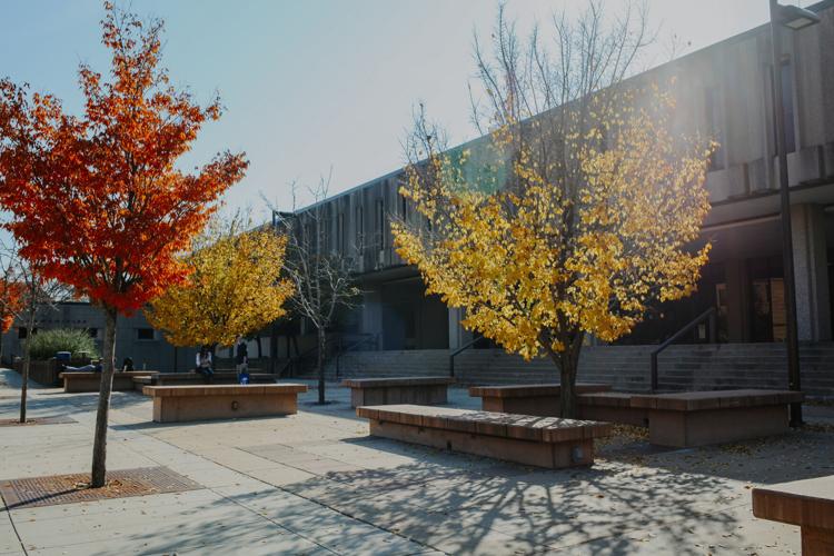 GALLERY: Fall leaves color campus for autumn | Gallery | kansan.com