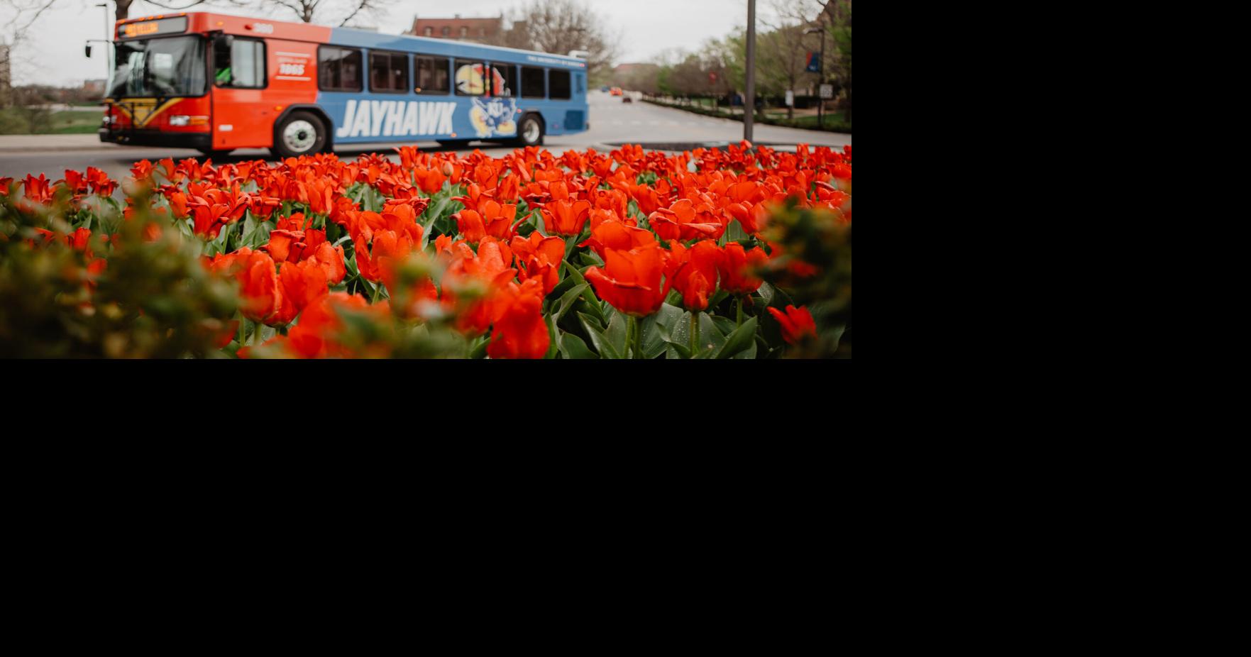 Lawrence Transit remodel project opens to community for comment ...