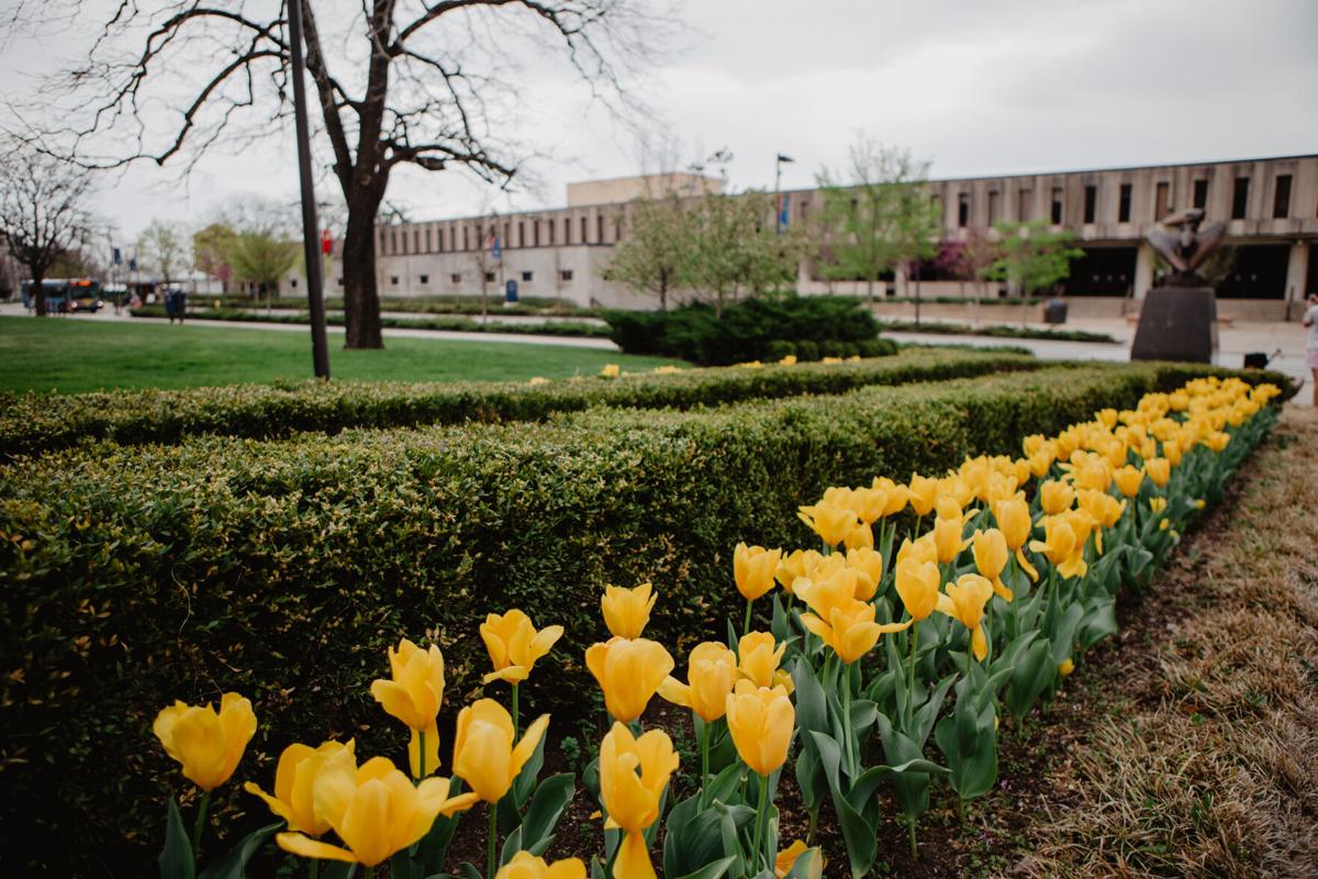 GALLERY: Campus blooms into springtime | Multimedia | kansan.com