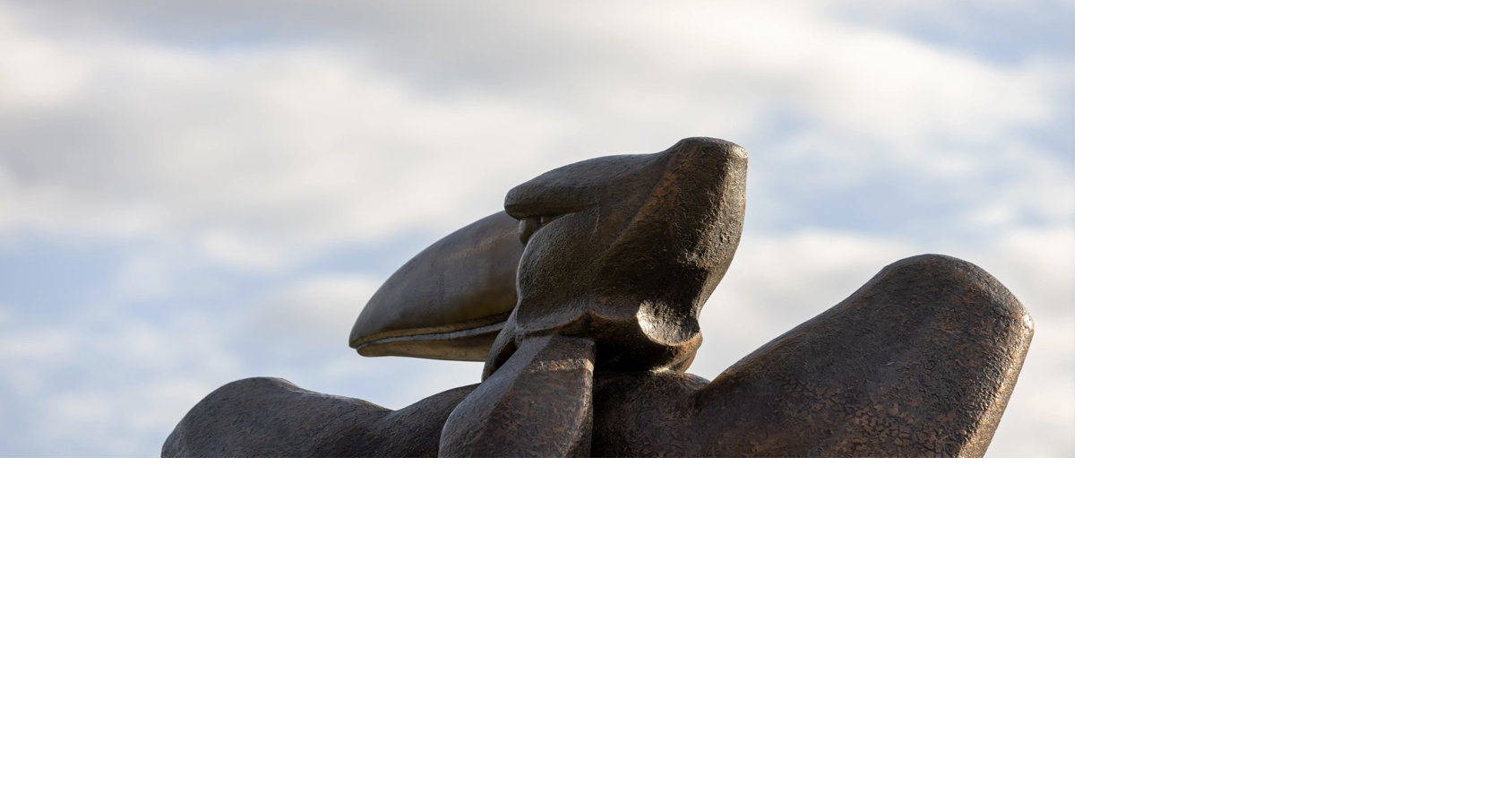 10 things you didn't know about the Jayhawk | Arts & Culture | kansan.com