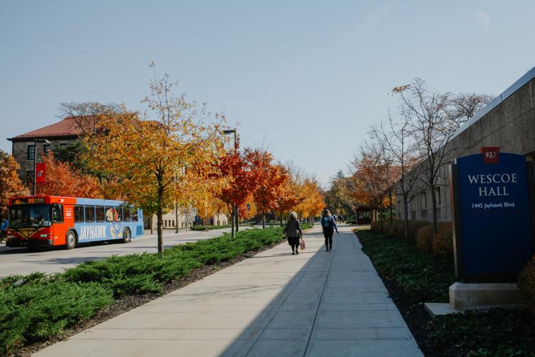 GALLERY: Fall leaves color campus for autumn | Gallery | kansan.com