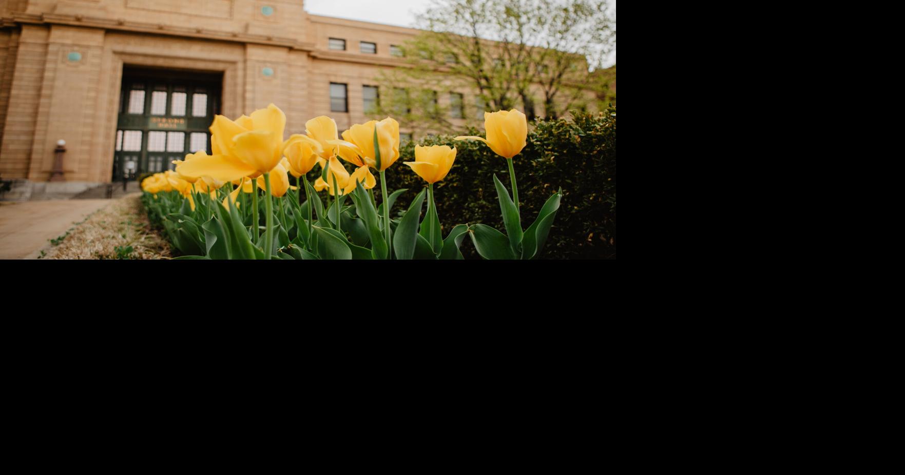 Nicole Hodges Persley to serve as acting vice provost for DEIB | News ...