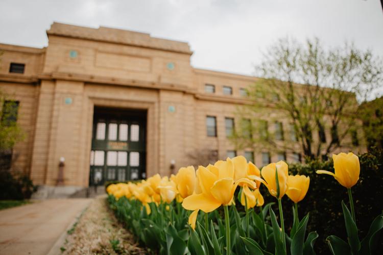 GALLERY: Campus blooms into springtime | Multimedia | kansan.com