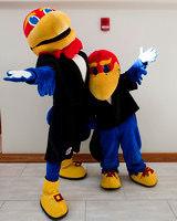 Former mascots share experiences as Big Jay, Baby Jay | Sports | kansan.com