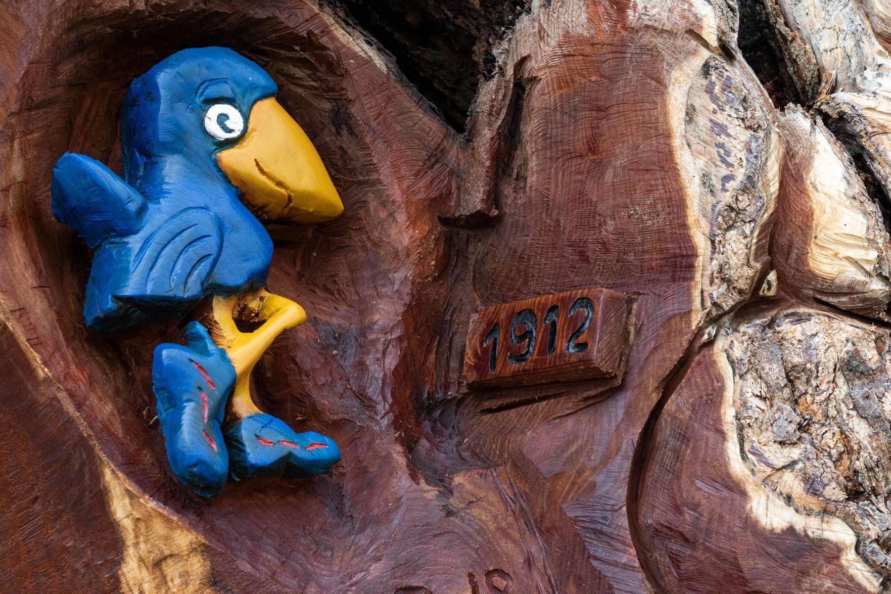 KU licensed chainsaw artist carves viral Jayhawk tree stump | Arts ...
