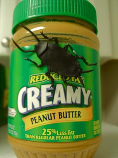 That's disgusting: Bugs in food | News | kansan.com