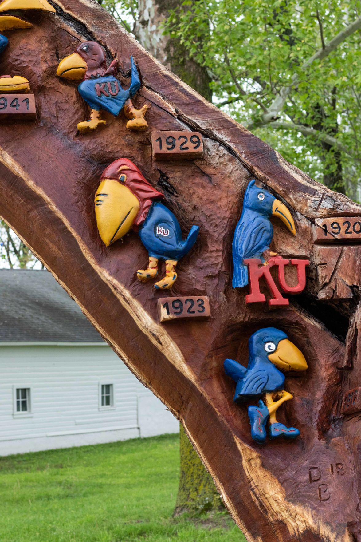 KU licensed chainsaw artist carves viral Jayhawk tree stump | Arts ...
